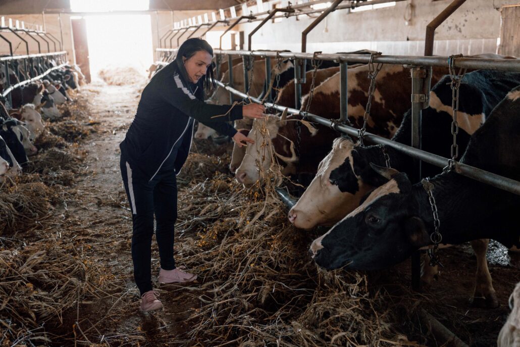 Početna - Alter Modus